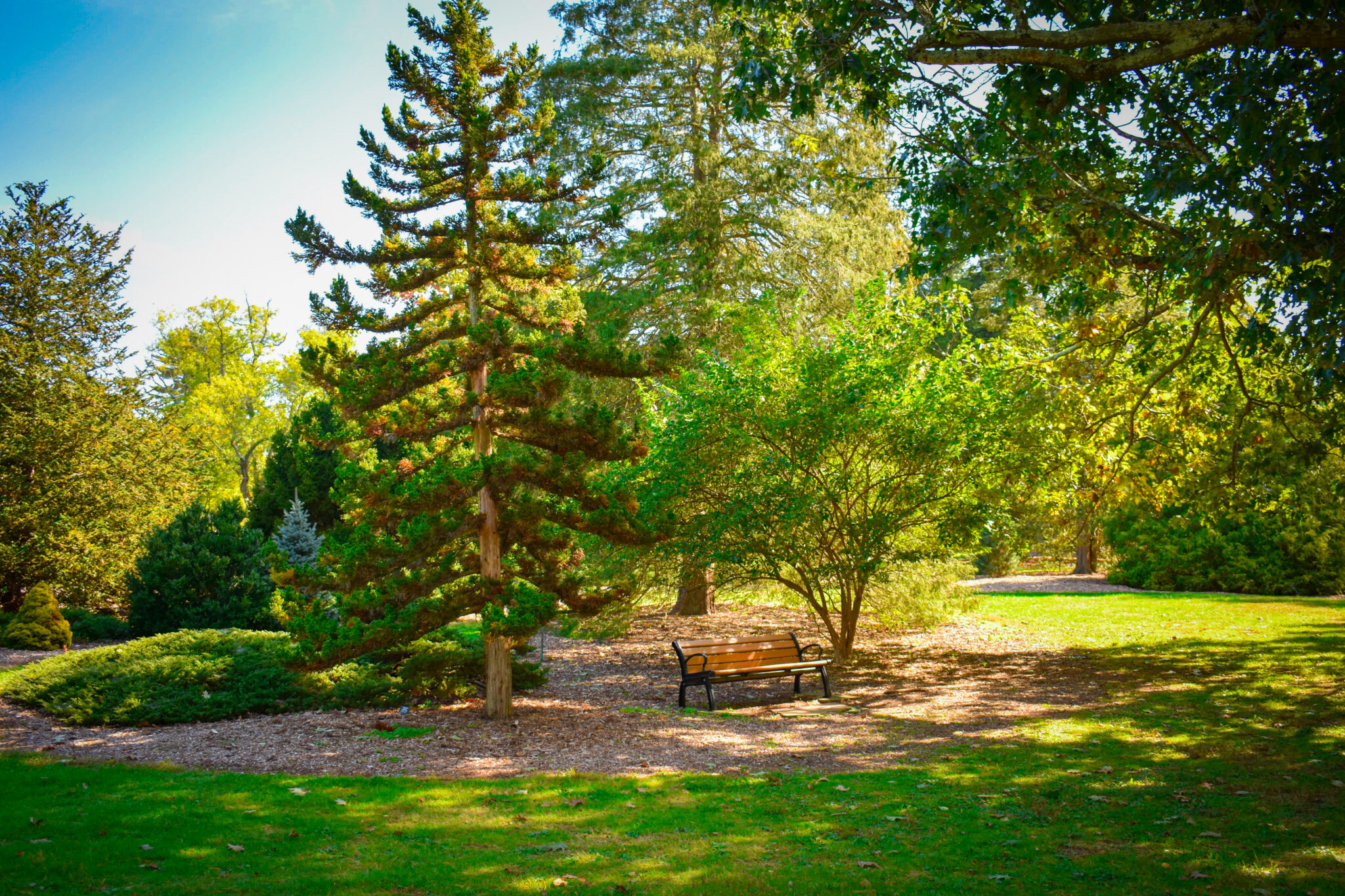 History in Bloom | Visit Somerset County NJ