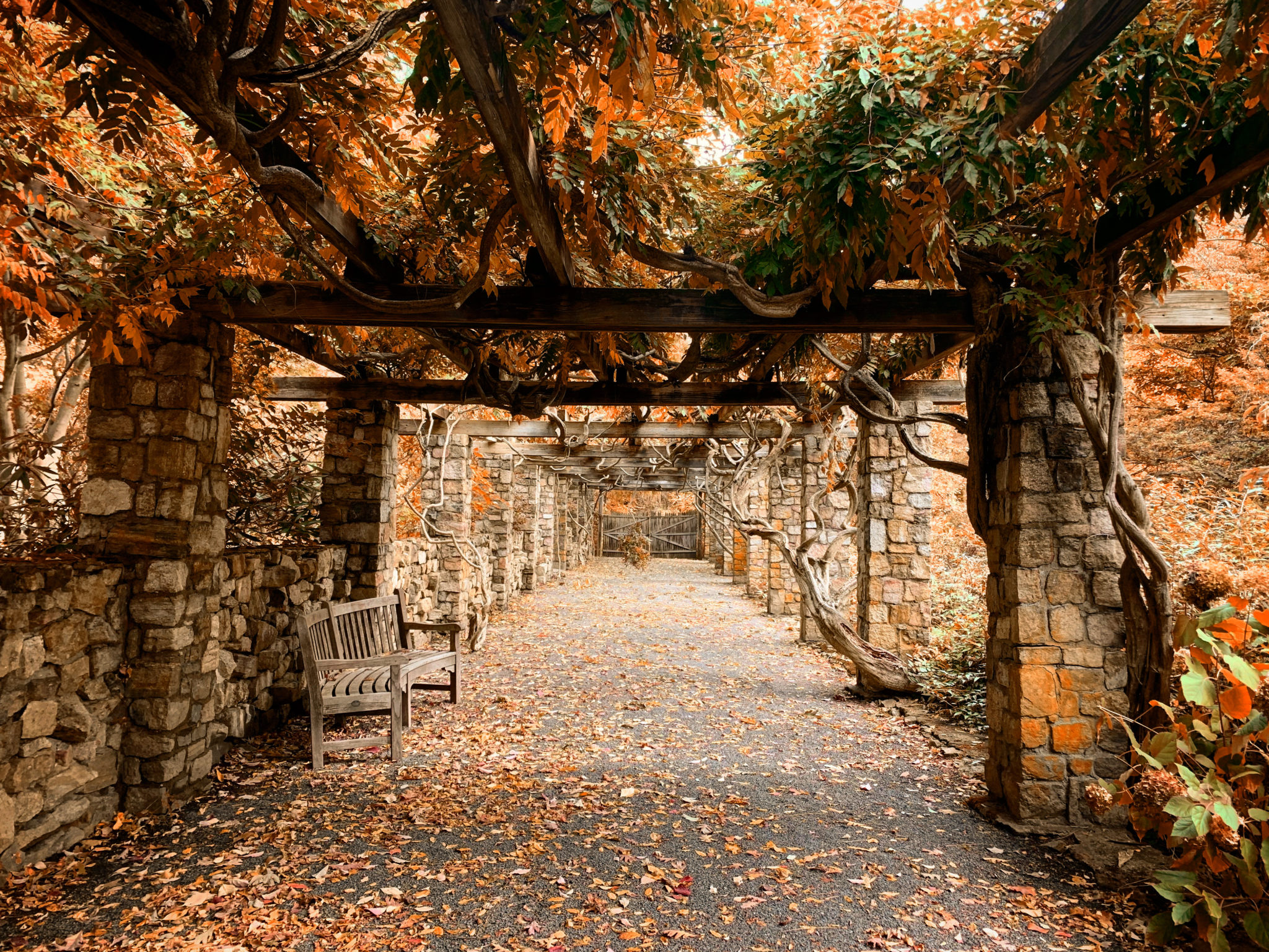 Somerset Fall Harvest Fall Events and Activities | Somerset County