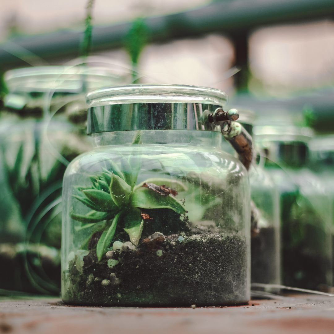 terrarium build | Visit Somerset County NJ