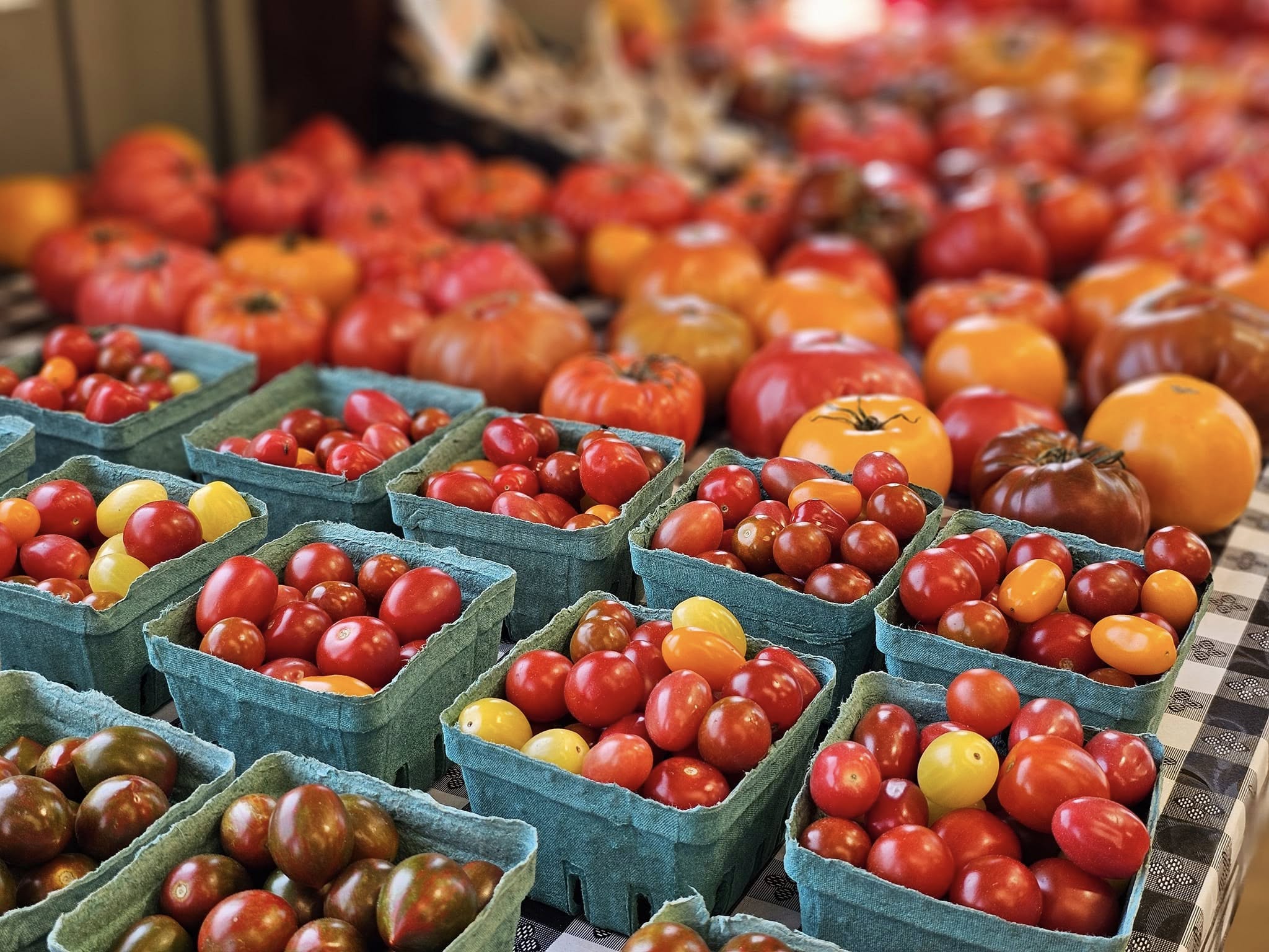 Seeded in Somerset | Visit Somerset County NJ