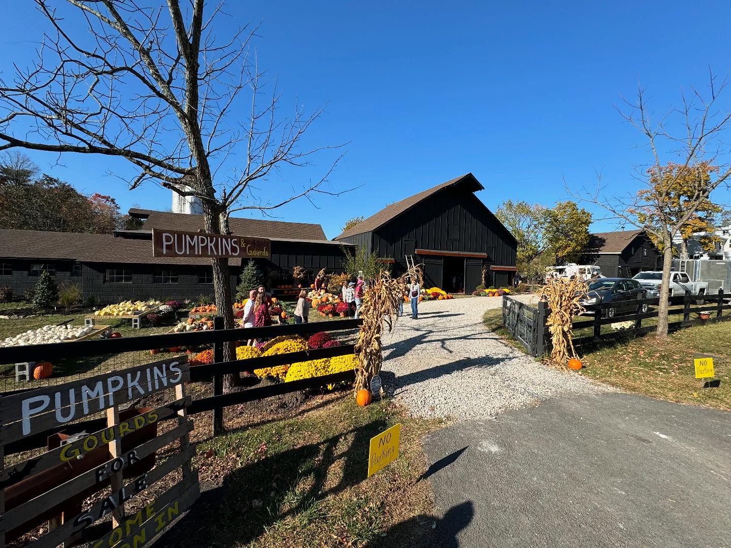 The Black Barn Farm | Visit Somerset County NJ