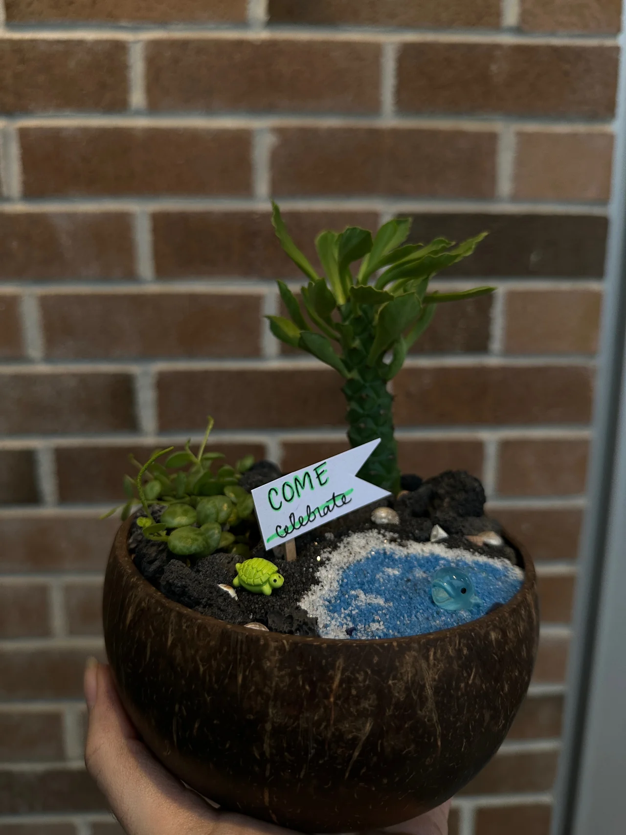 Birthday Luau Terrarium Building | Visit Somerset County NJ